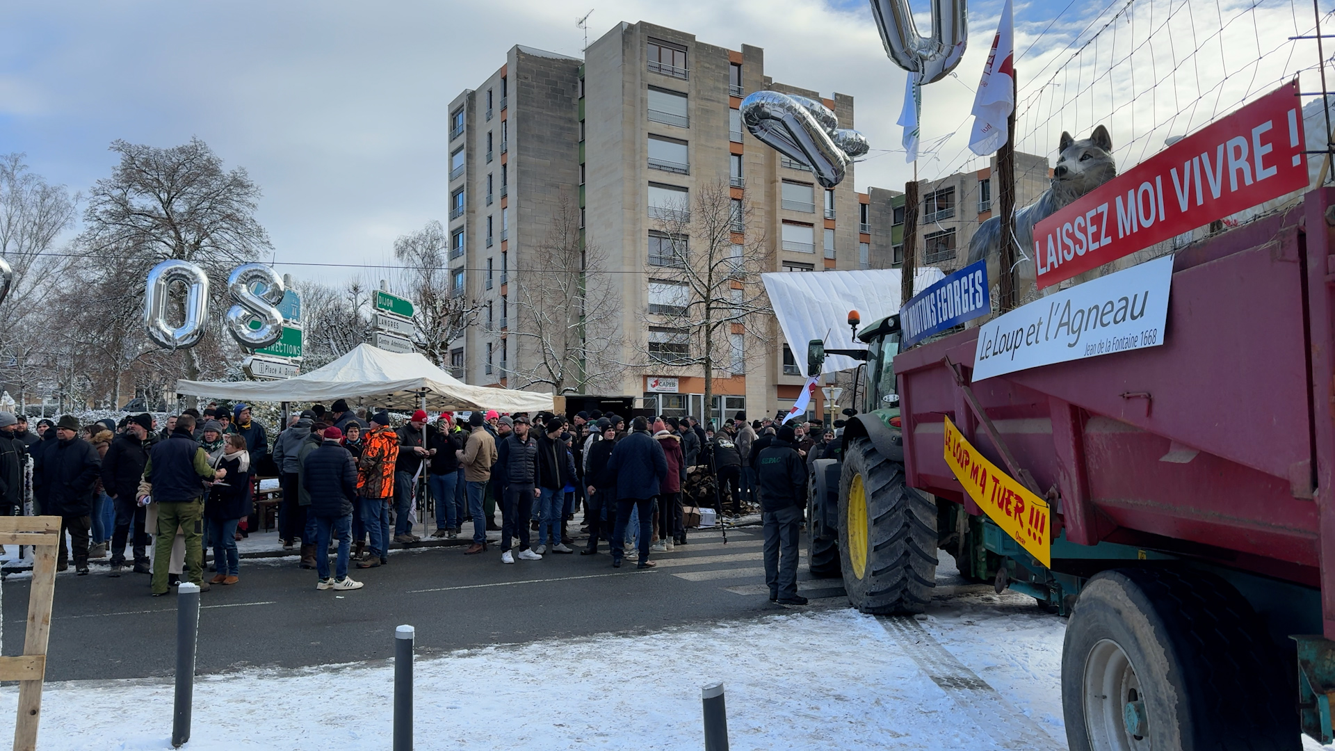 Chaumont : les éleveurs mobilisés contre la prédation du loup